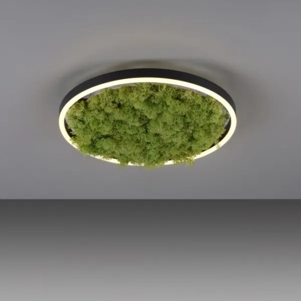 JUST LIGHT. 15391-66 - LED Stmívatelné stropní svítidlo GREEN RITU LED/20W/230V