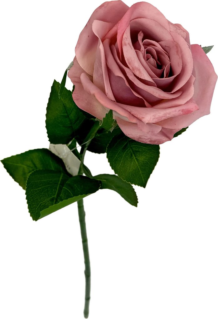XXXLutz UMĚLÁ KVĚTINA 60 cm - Umělé květiny - 005140014301