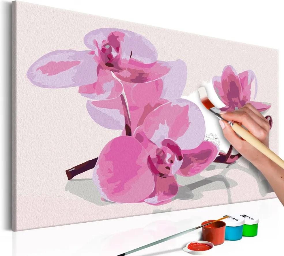 Bimago Malování podle čísel - Orchid Flowers | 60x40 cm
