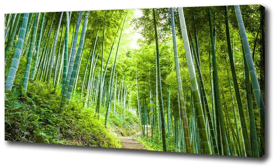 Wallmuralia Foto obraz na plátně Bambusový les 100x50