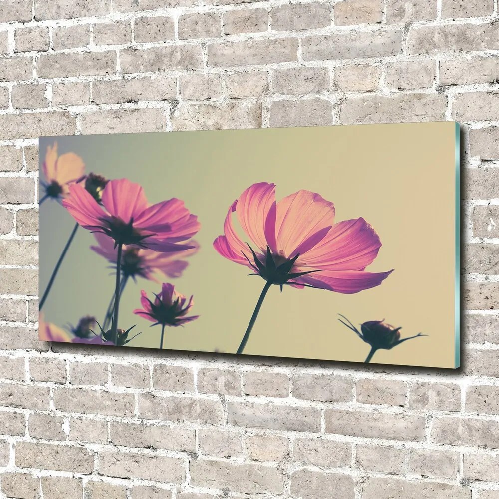 Wallmuralia Foto obraz sklo tvrzené Růžové květiny 140x70 cm