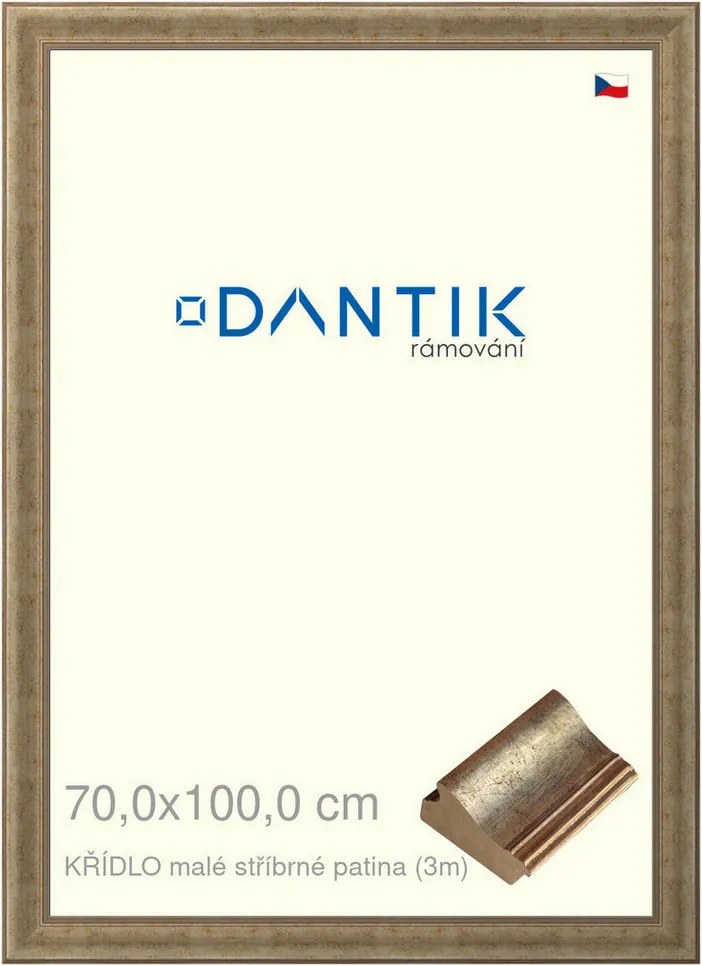 DANTIK rámeček 70x100 | KŘÍDLO malé stříbrné patina (Plexi Čiré)