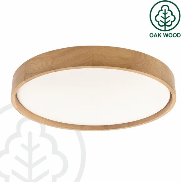 BRILAGI - LED Stm stropní svítidlo MANAROLA LED/36W/230V 3000-6500K pr. 51 cm+DO