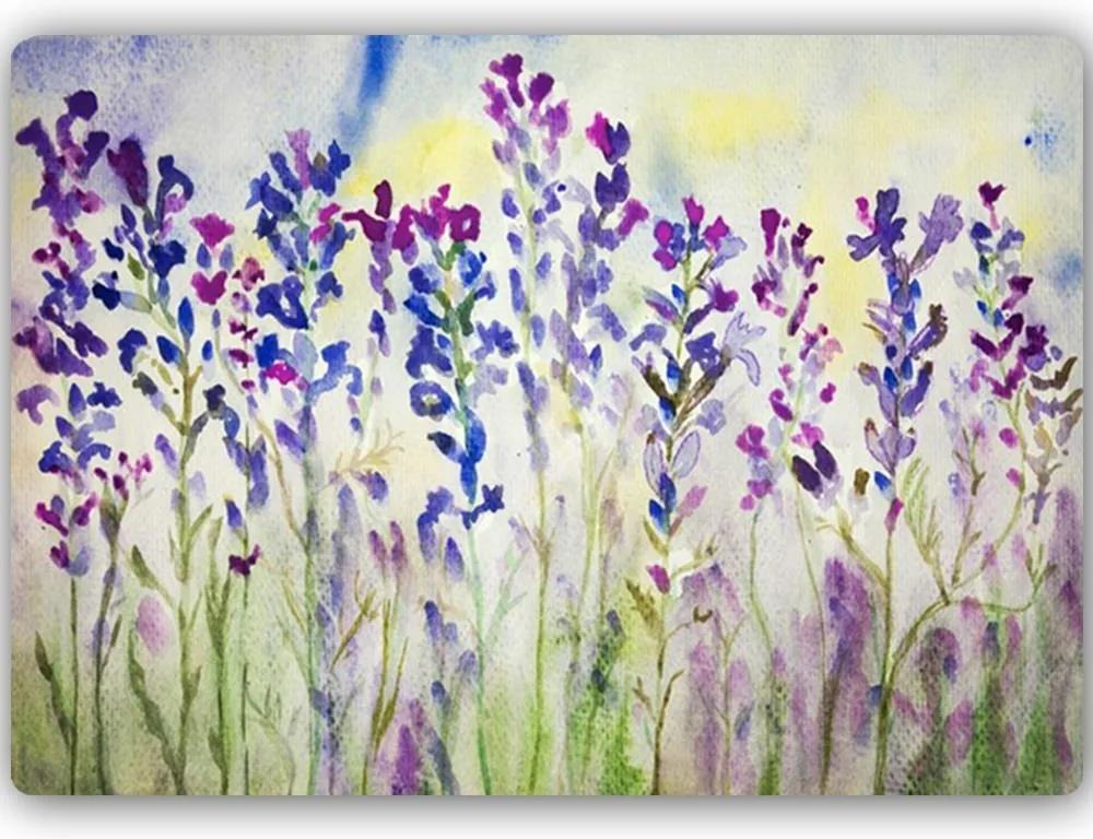 CARO Kovový obraz - Meadow Flowers 2 40x30 cm