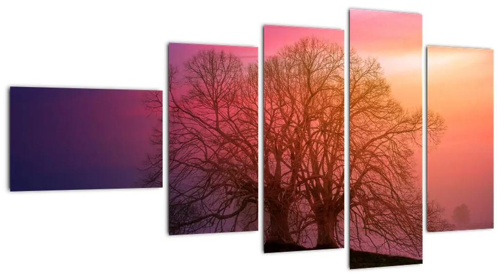 Obraz stromů v mlze (110x60 cm), 40 dalších rozměrů