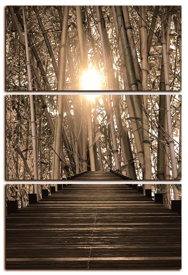 Obraz na plátně - Dřevěná promenáda v bambusovém lese - obdélník 7172FB (90x60 cm  )
