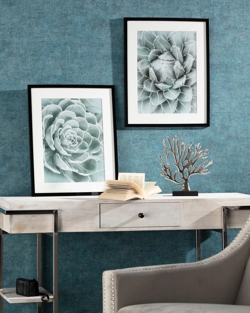 Obraz Succulents I 40x50xcm