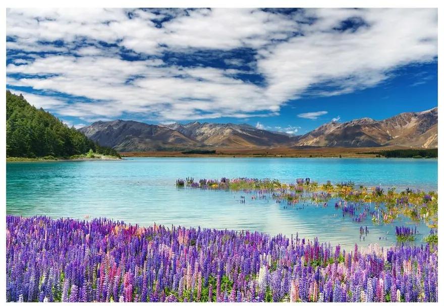 Fototapeta Jezero Nový Zéland 104x70