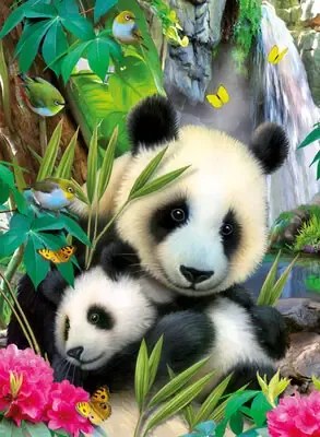 Ravensburger - Puzzle - Panda / 300 dílků / od 9 let