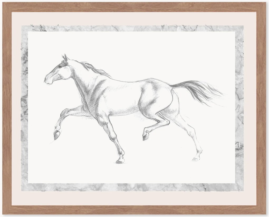 Zarámovaný digitální tisk Single Horse, v různých velikostech