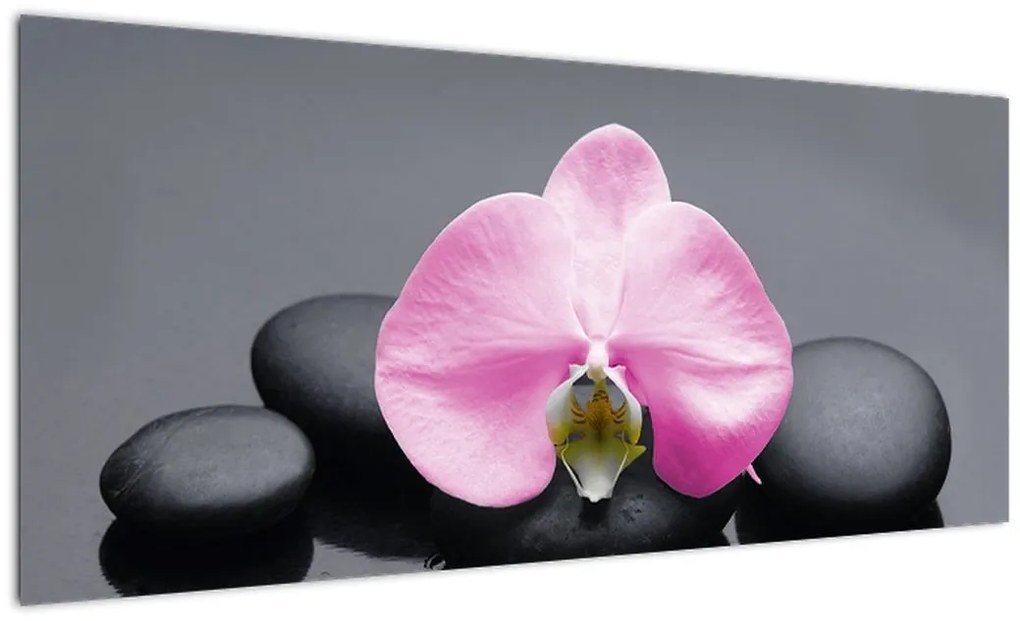 Květ orchideje - obraz (100x40cm)