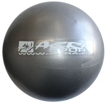 CorbySport 39780  OVERBALL průměr 260 mm, stříbrný