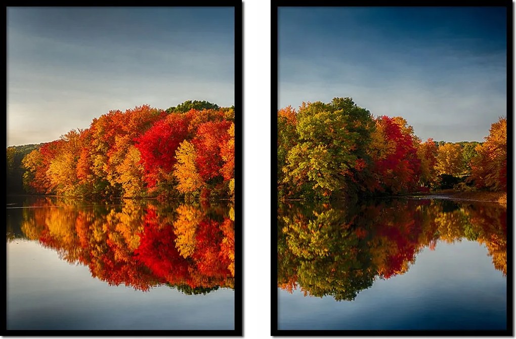 Obraz Plakáty V Rámu 53x73 cm Diptych Sada 2 obrazů Stromy Podzim P2033