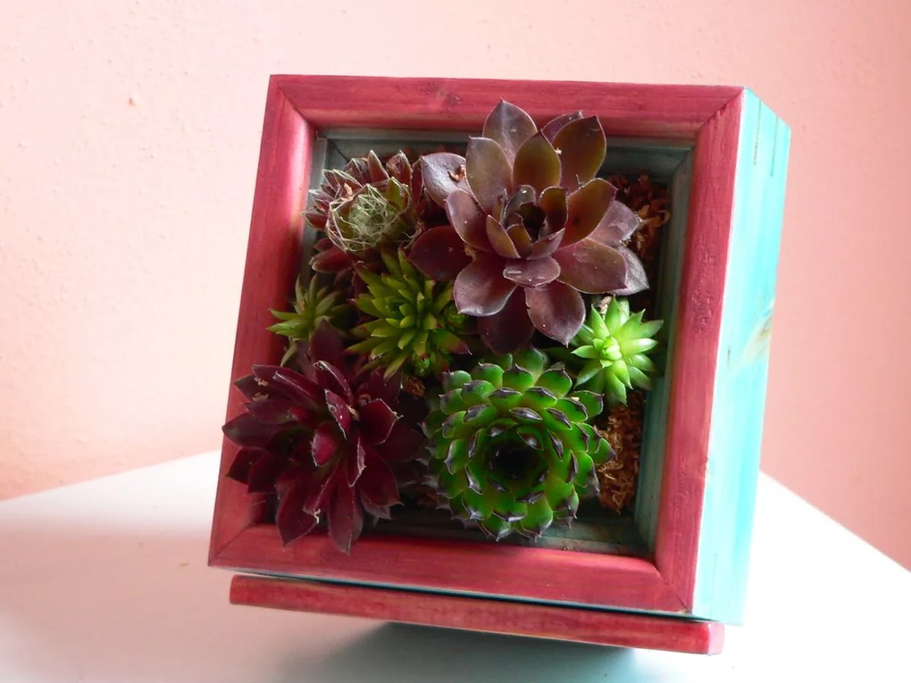 Dřevěný květináč - živý obraz na sukulenty se stojánkem Color Mix