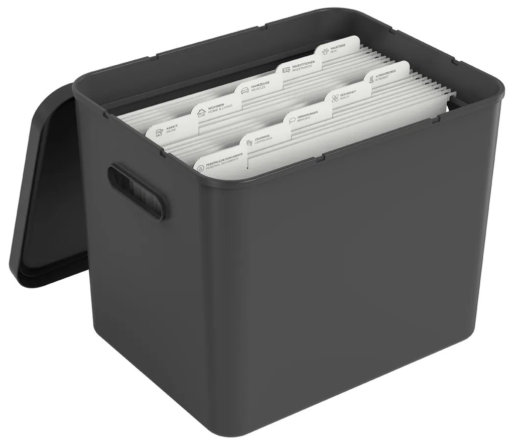 Rotho Úložný box na dokumenty, k archivaci + 10 závěsných složek, myPAPER BOX - černý