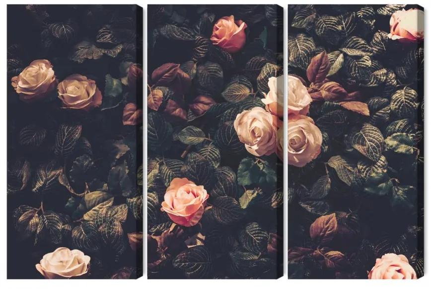Vícedílný obraz Pastelové Růže Ve Vintage Stylu Nedostatek Nedostatek Přírodní plátno 120x80