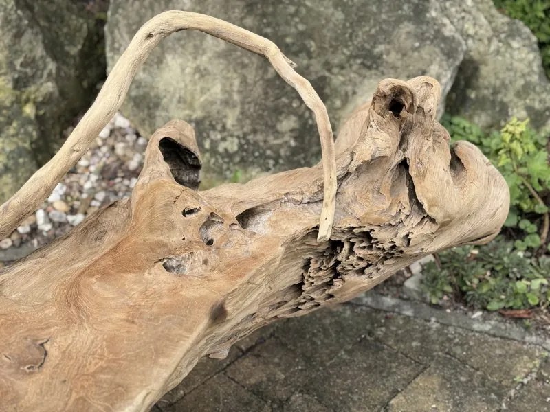 Královské křeslo z teakového kořene 195 cm – jedinečná lavice