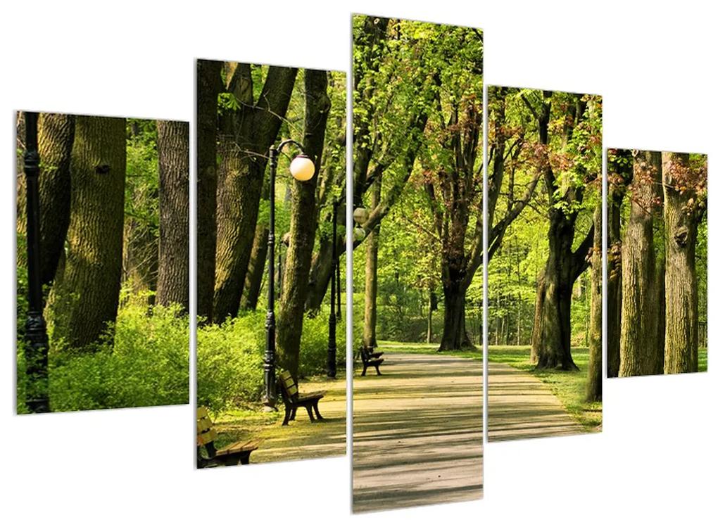 Obraz uličky v parku (150x105 cm)