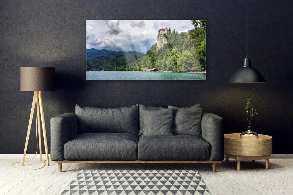 Plexisklo-obraz Zámek v Horách Les Krajina 120x60 cm
