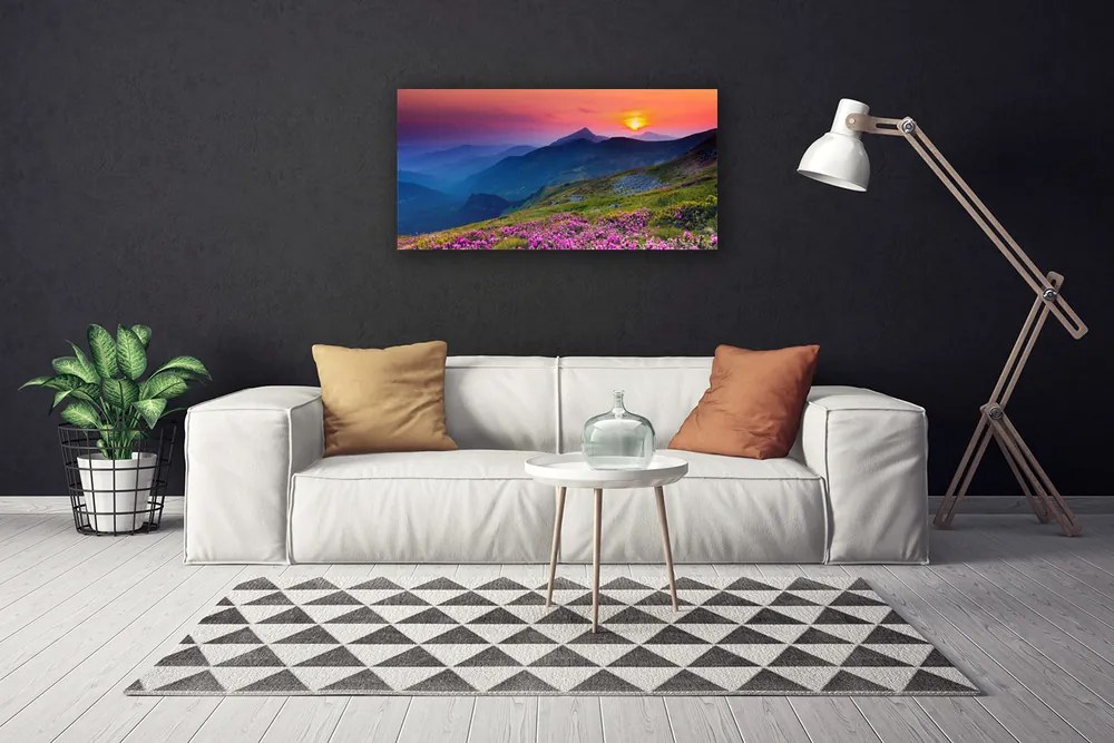 Obraz na plátně Hory Louka Květiny Krajina 100x50 cm