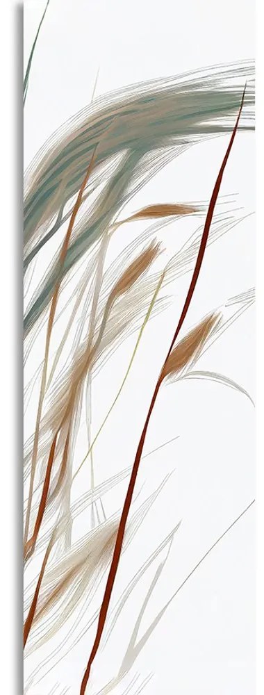 Obraz vlající stébla trávy
