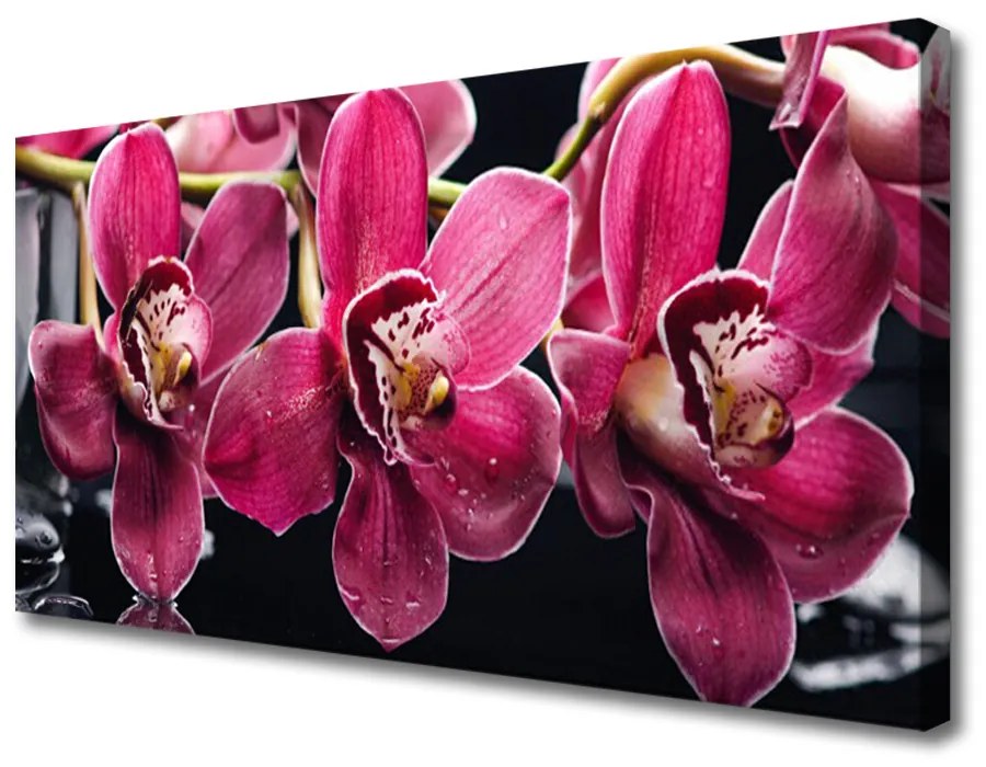 Obraz na plátně Květiny Orchideje  Výhonky Příroda 125x50 cm