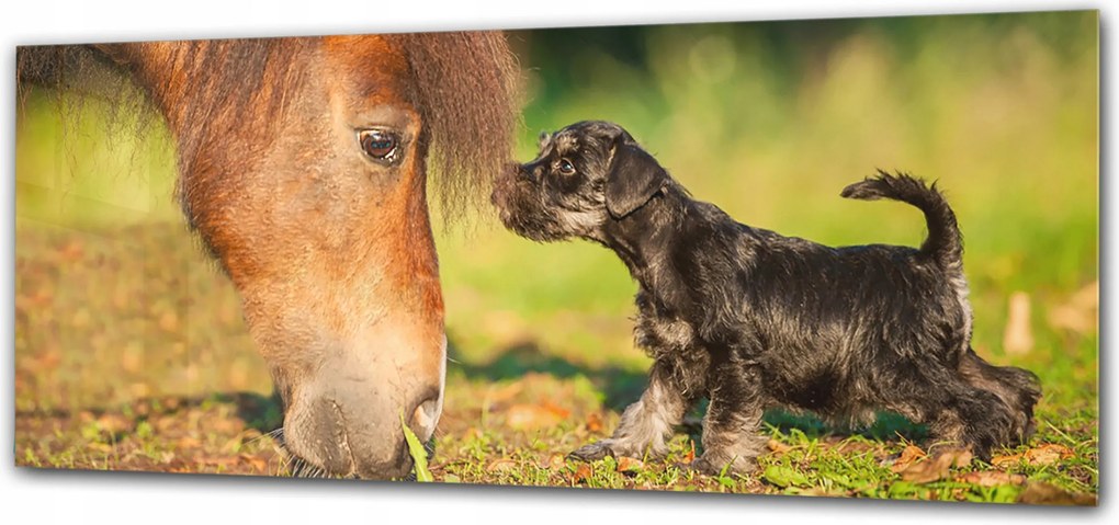 Skleněný obraz 150x60 tvrzená grafika zvířata