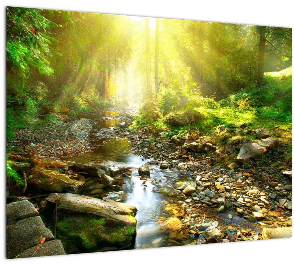 Skleněný obraz řeky v zeleném lese (70x50 cm)
