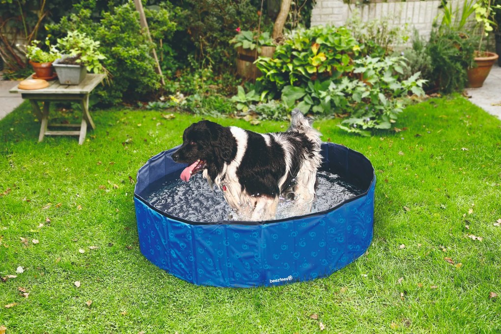Beeztees Doggy Dip Bazén pro psy modrý 80x80x20cm