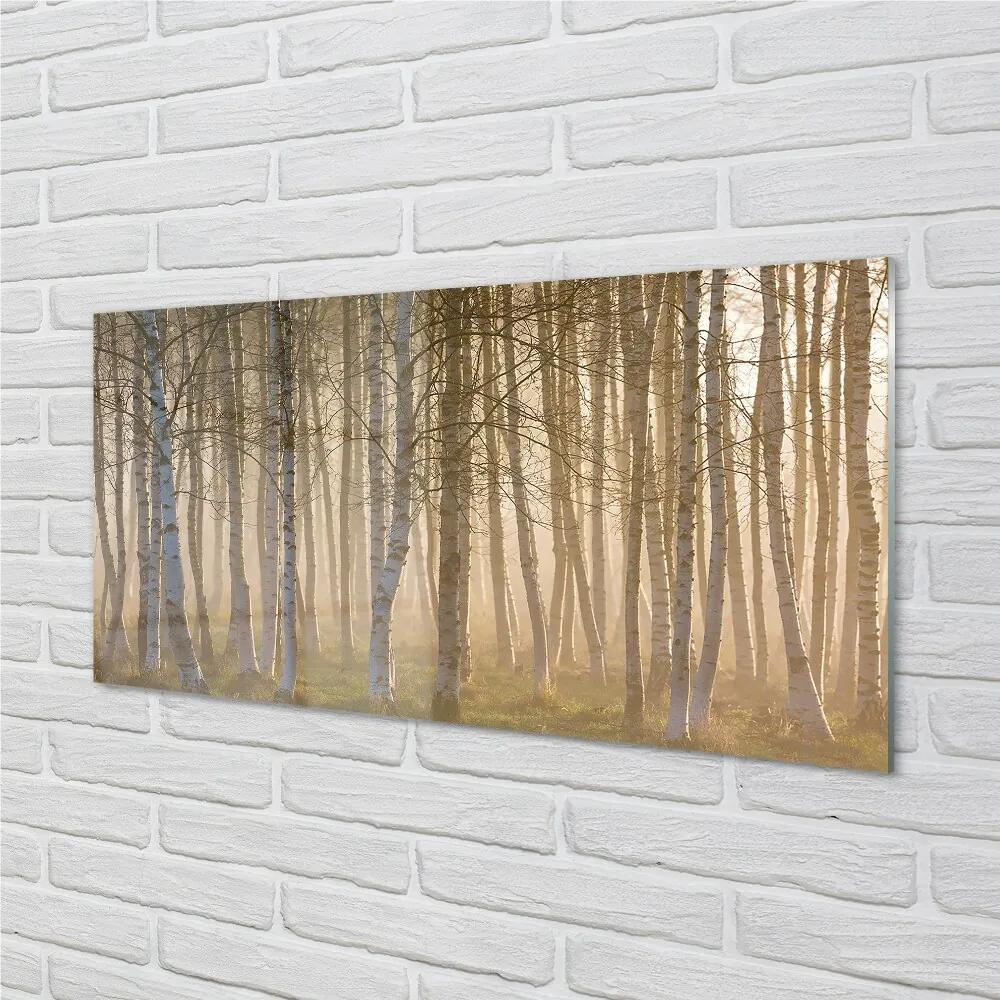 Obraz na skle Sunrise strom les 125x50 cm