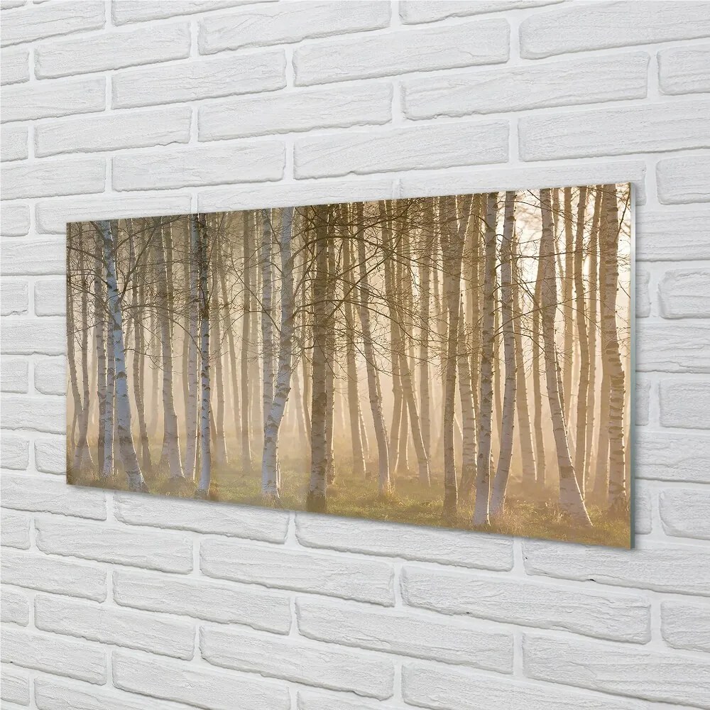 Obraz na skle Sunrise strom les 140x70 cm