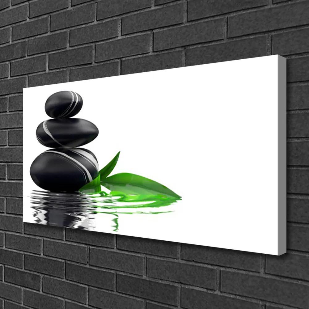 Obraz na plátně Kameny Listy Voda Umění 100x50 cm