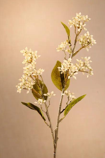 Paramit DRY VIBURNUM TINUS Aranžovací květina bílá 58 cm