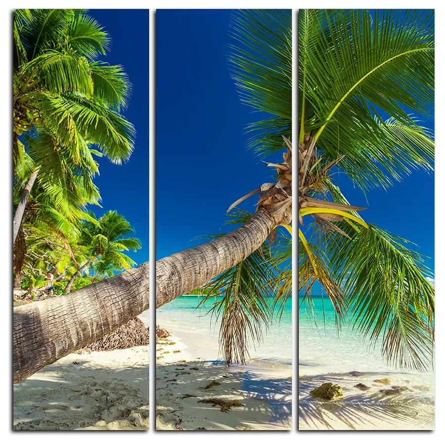 Obraz na plátně - Pláž s palmami  - čtverec 384B (105x105 cm)