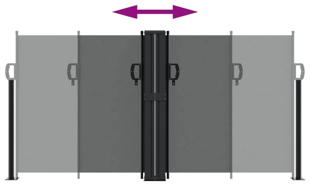 Zatahovací boční markýza antracitová 120 x 1 000 cm,  4004703