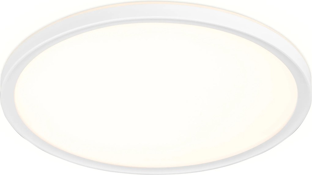 Livarno® LED stropní svítidlo (bílá)