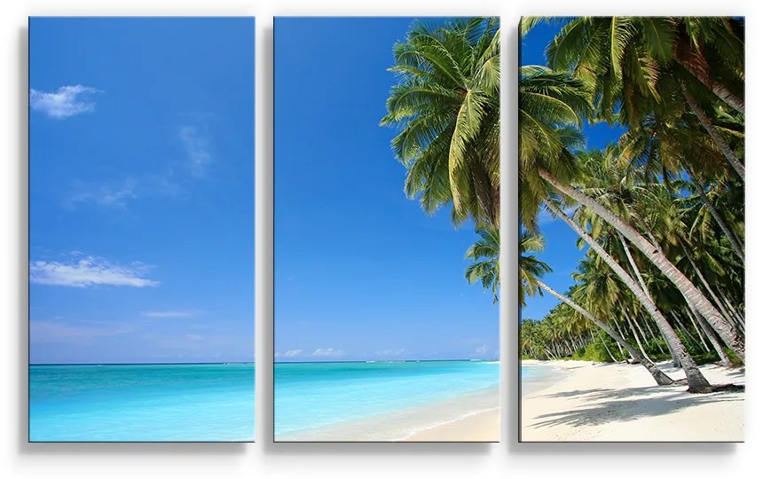 Sablio Obraz - 3-dílný Palmová pláž - 120x80 cm