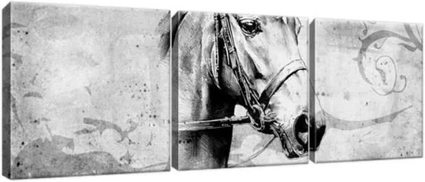 Tištěný obraz Kůň 90x30cm 1919A_3A
