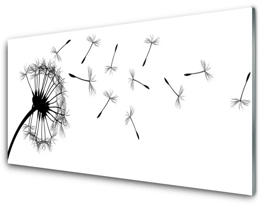 Plexisklo-obraz Pampeliška Květ 100x50 cm