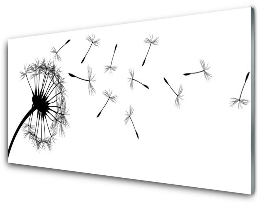 Plexisklo-obraz Pampeliška Květ 140x70 cm