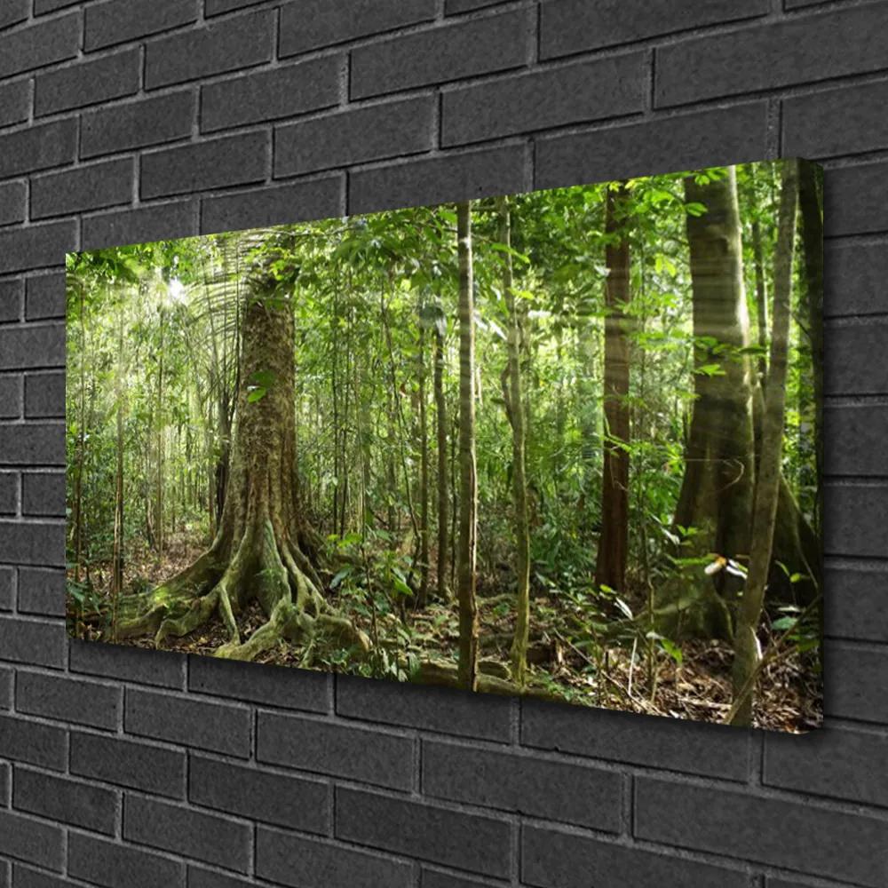 Obraz na plátně Les Příroda Džungle 125x50 cm