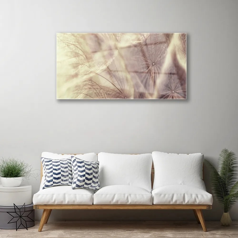 akrylový obraz Pampeliška Rostlina 100x50 cm