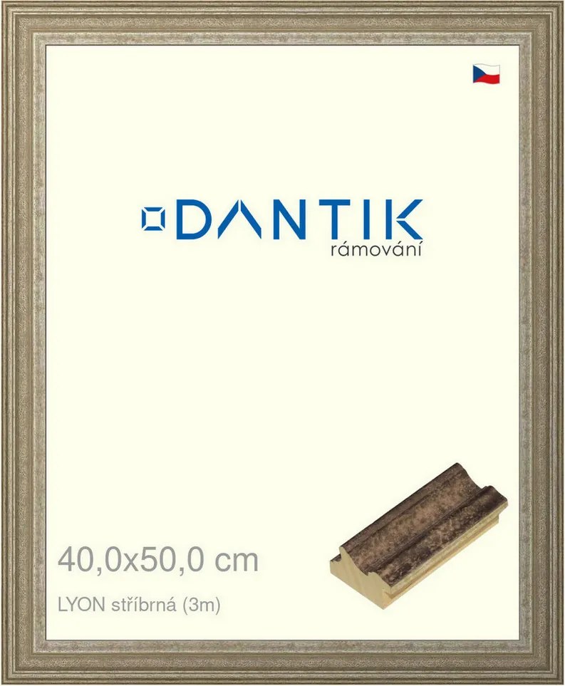 DANTIK rámeček 40x50 | LYON stříbrná (Sklo Čiré)