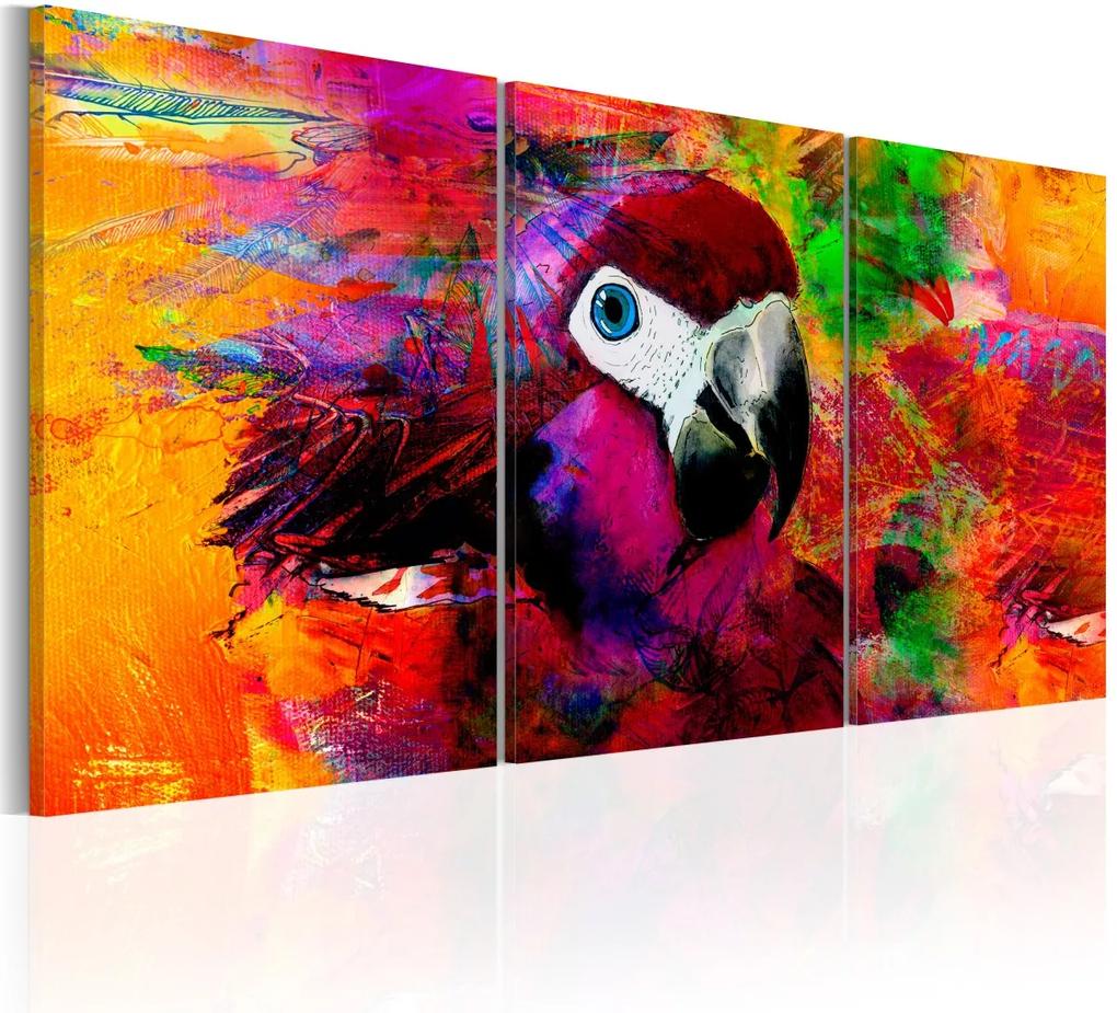 Murando DeLuxe Papoušek Velikost: 120x60 cm