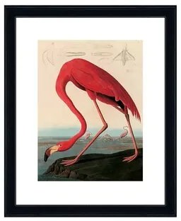 Obraz American Red Flamingo Kler Accessories