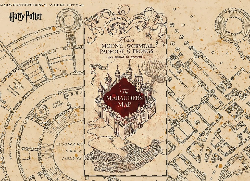 Dětská vliesová fototapeta na zed' Harry Potter a Pobertův Plánek | 252 x 182 cm | DFTDXL1977