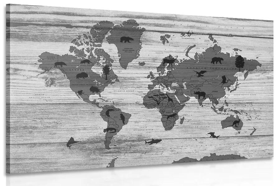 Obraz černobílá mapa na dřevěném podkladu Varianta: 90x60