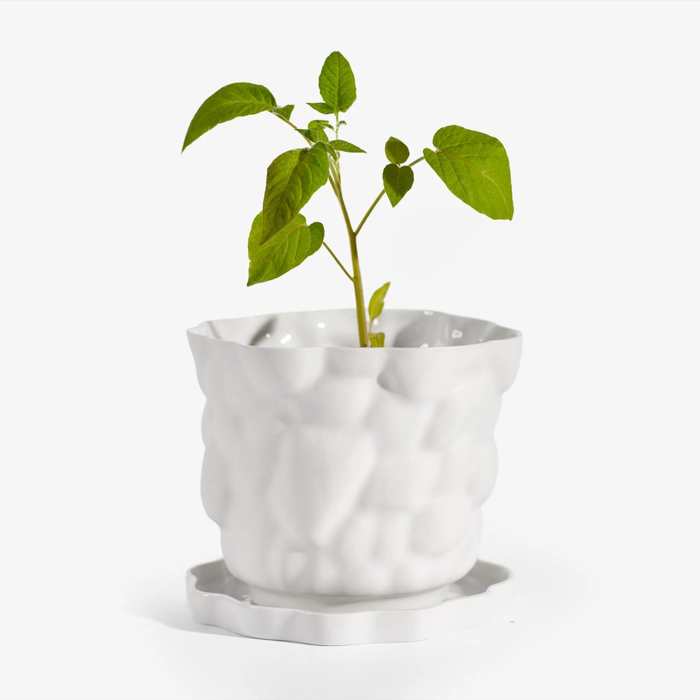 Porcelánový květináč Kořenáč větší