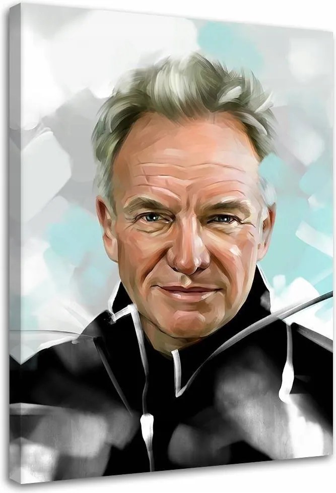 Obraz na plátně, Sting 40x60