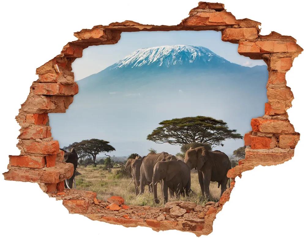 Wallmuralia Díra 3D fototapeta Sloni Kilimandžáro 90x70 cm